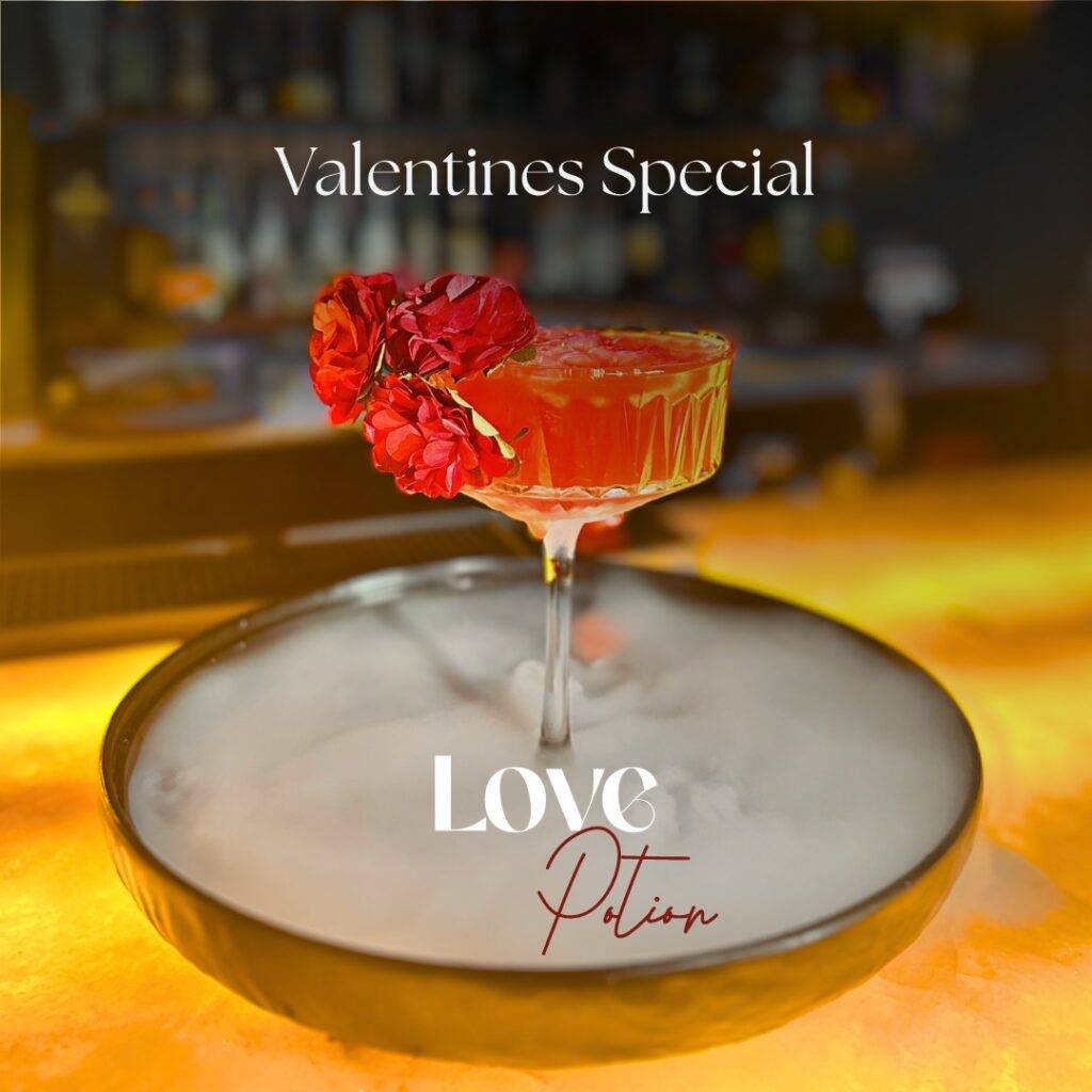 Indian Food Restaurant Near Mississauga Ontario - IK Bar